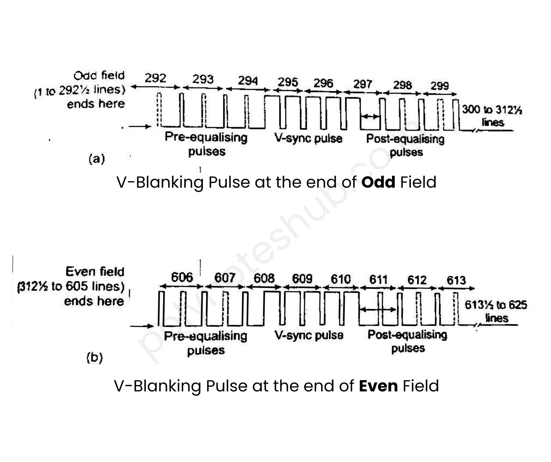 Composite Video Signal for Monochrome TV | New Topic