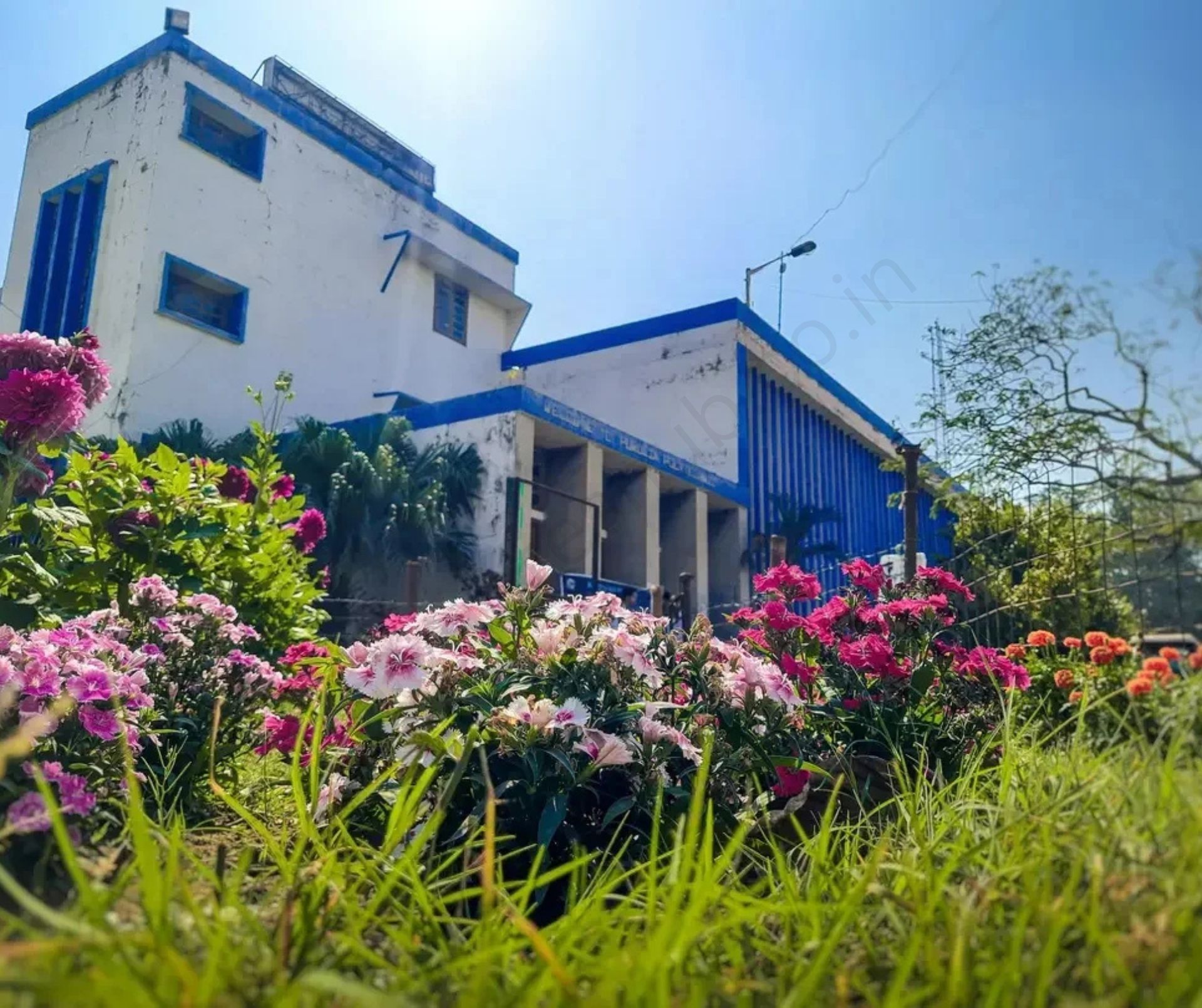 Best and Top Polytechnic Colleges in Purulia District