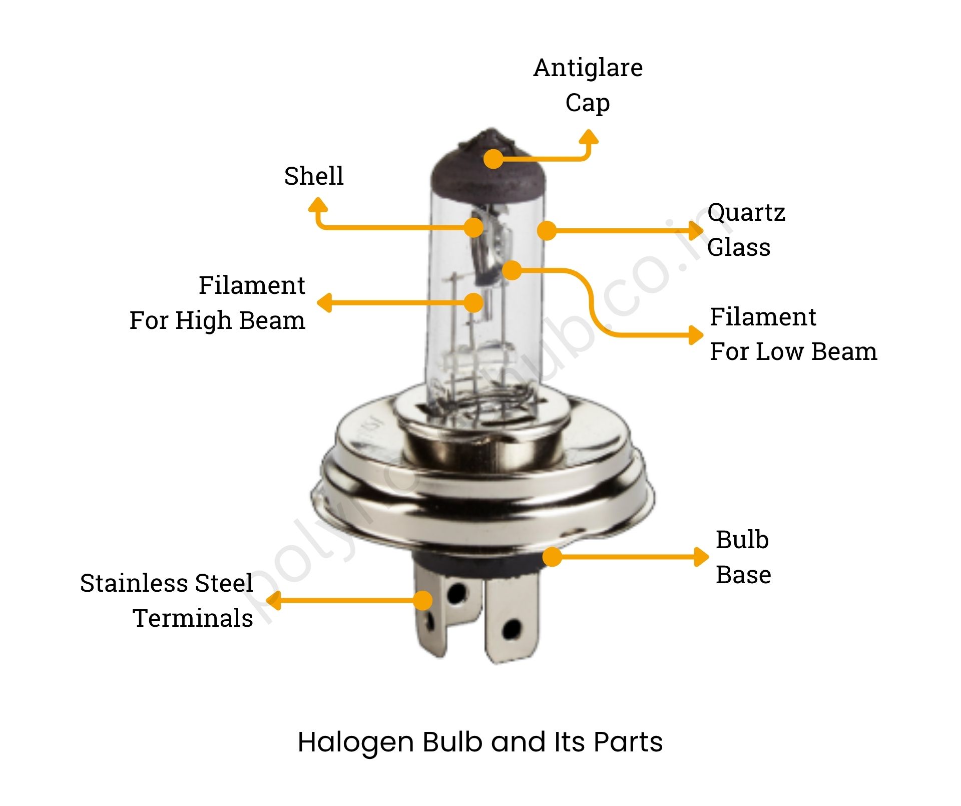 Halogen Bulb and Its Parts - Working | New Topic - Poly Notes Hub