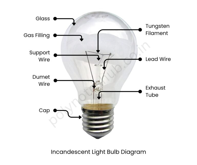 Incandescent Light Bulb Diagram | New Topic - Poly Notes Hub