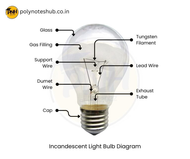 Incandescent Light Bulb Diagram | New Topic - Poly Notes Hub