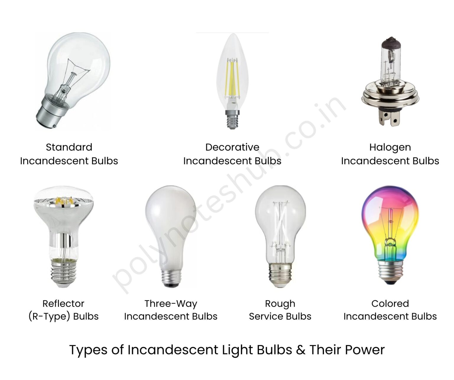Types of Incandescent Light Bulbs - Explained with Features & Uses